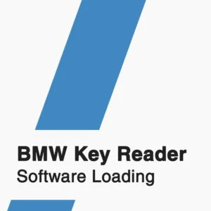 Software Loading – Maverick Diagnostics